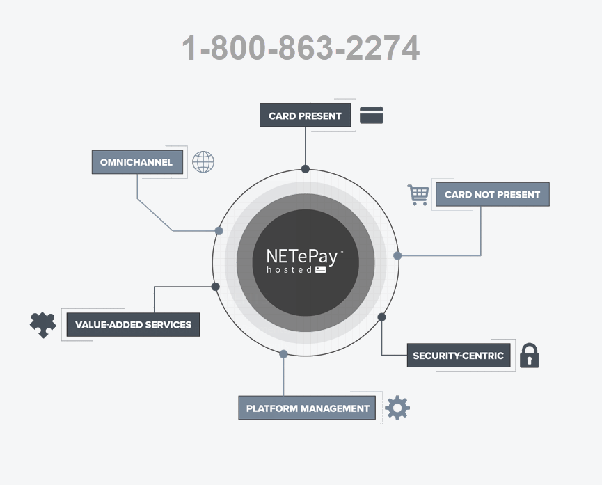 NETePay Hosted Payment Platform Service